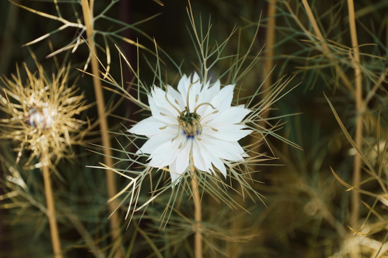 What are thyroid antibodies? TPO, TgAb, and TRAb explained ...